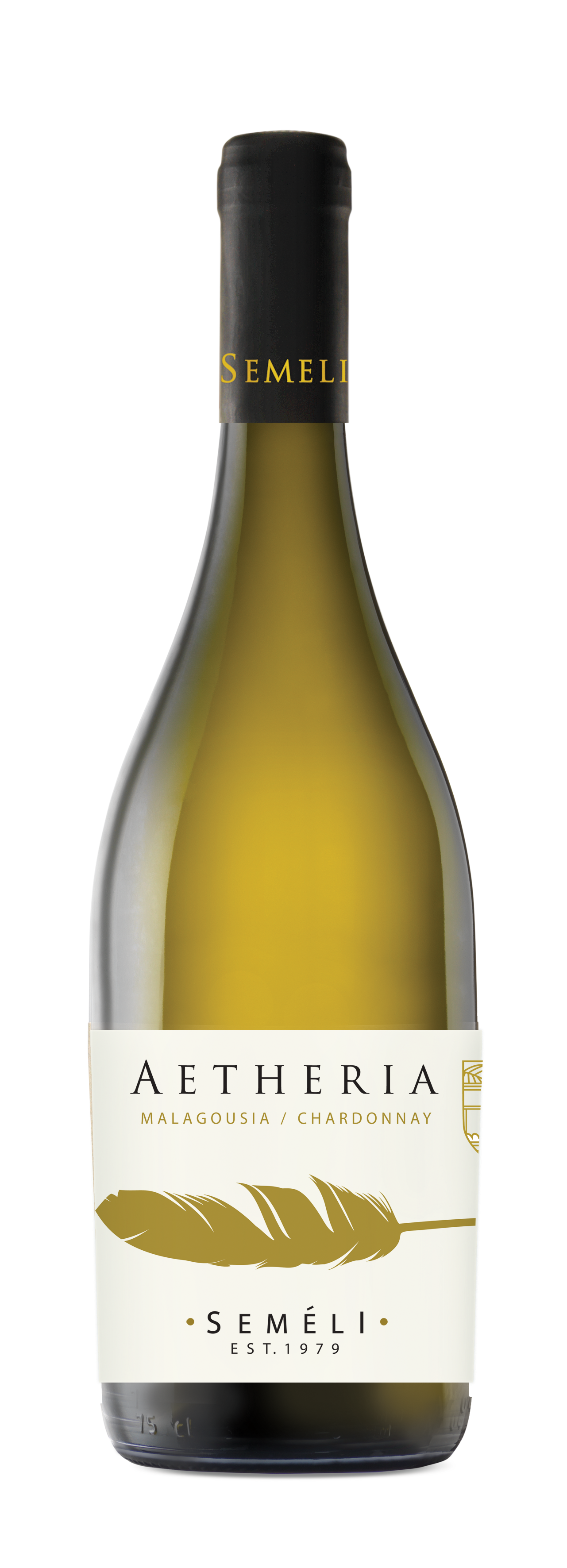 Aetheria(New) - Amvyx