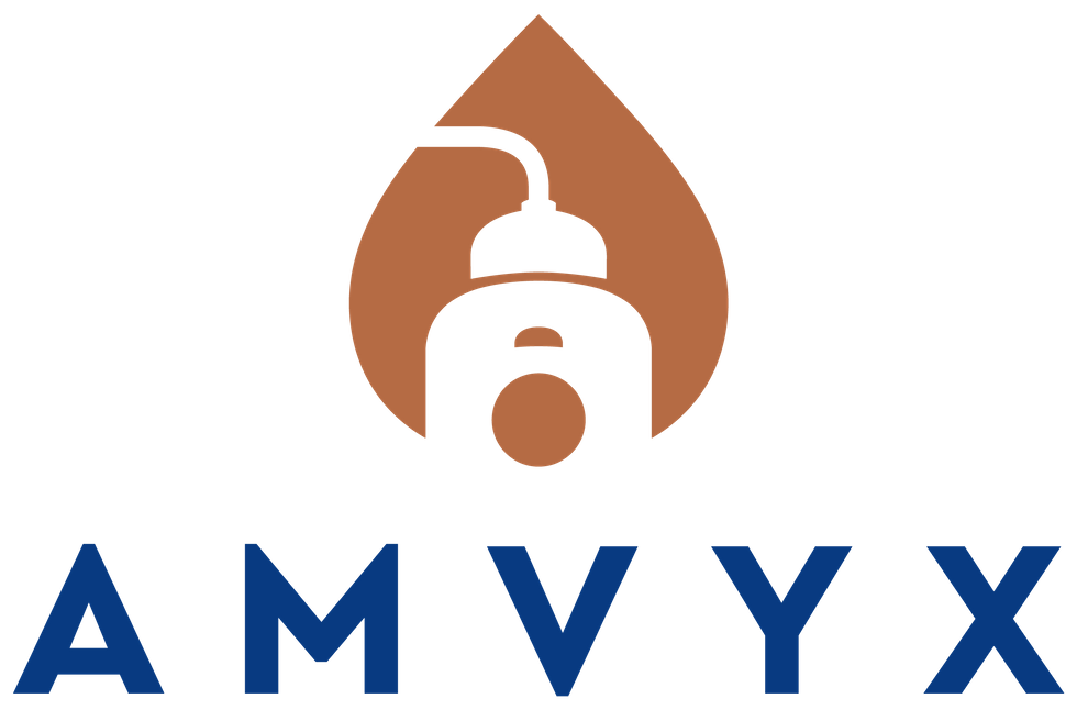 ΑΜΒΥΞ : Το 2019 Χρονιά ρεκόρ για Τζίρο, Κέρδη και Μερίδιο - Amvyx