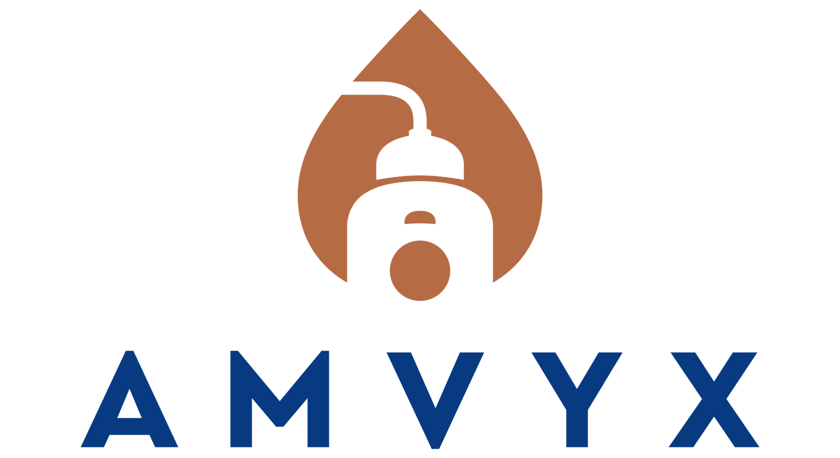 amvyx_logo-kit_eng_color_vertical_clean (4) - Amvyx